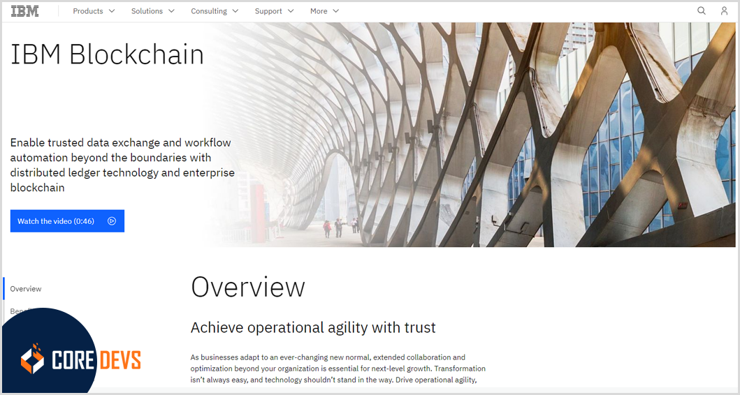 Top 10 Blockchain Platforms List in 2023! - Core Devs Ltd