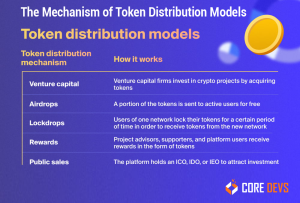 Token Distribution - Overview of the 5 Popular Models - Core Devs Ltd